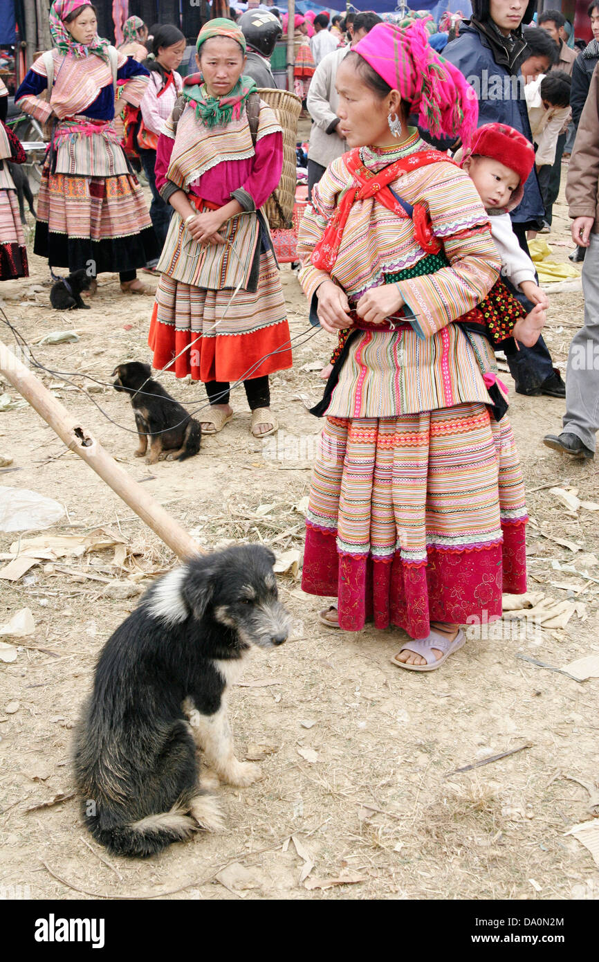 Flower Hmong people selling dogs at the animal market in Bac Ha ...