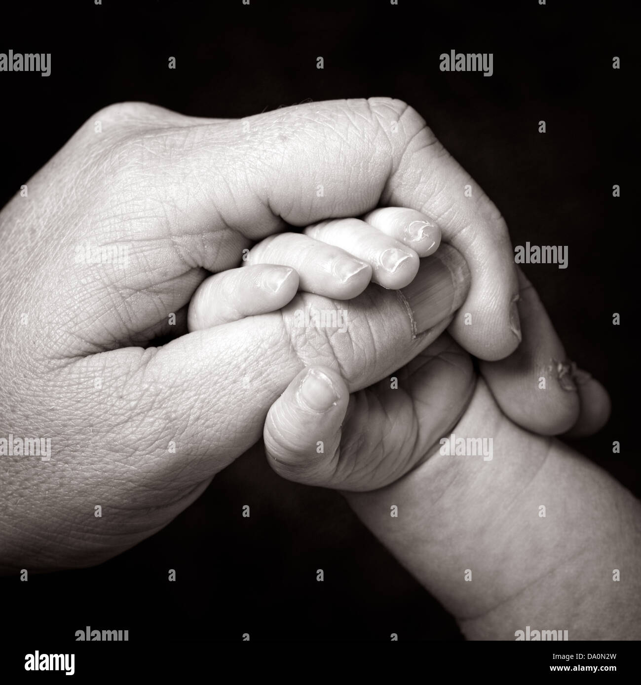 Black And White Images Ofbaby And Adult Hands