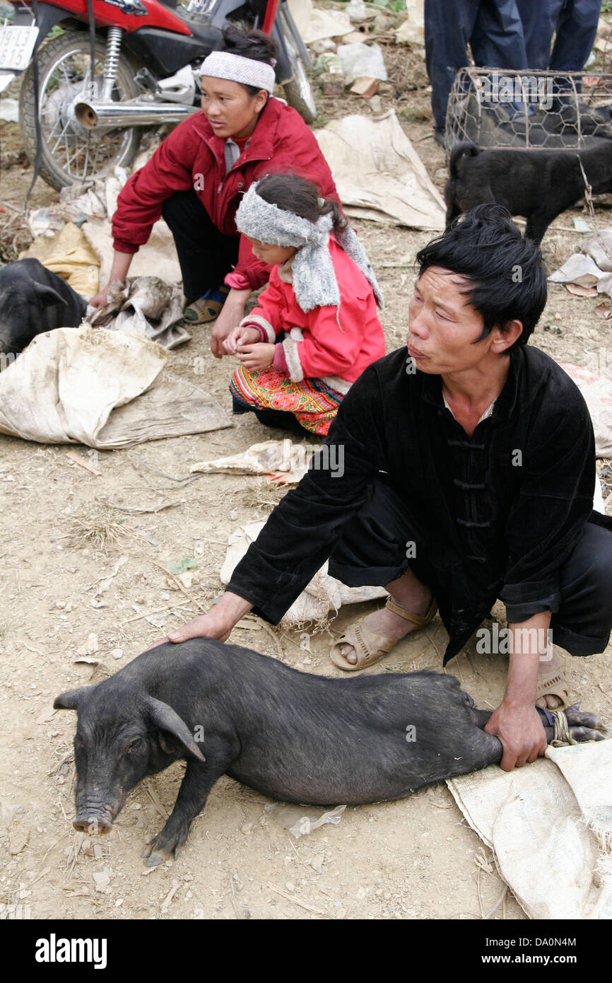 Pig on sale at traditional hill tribe market in Bah Ha, Vietnam ...