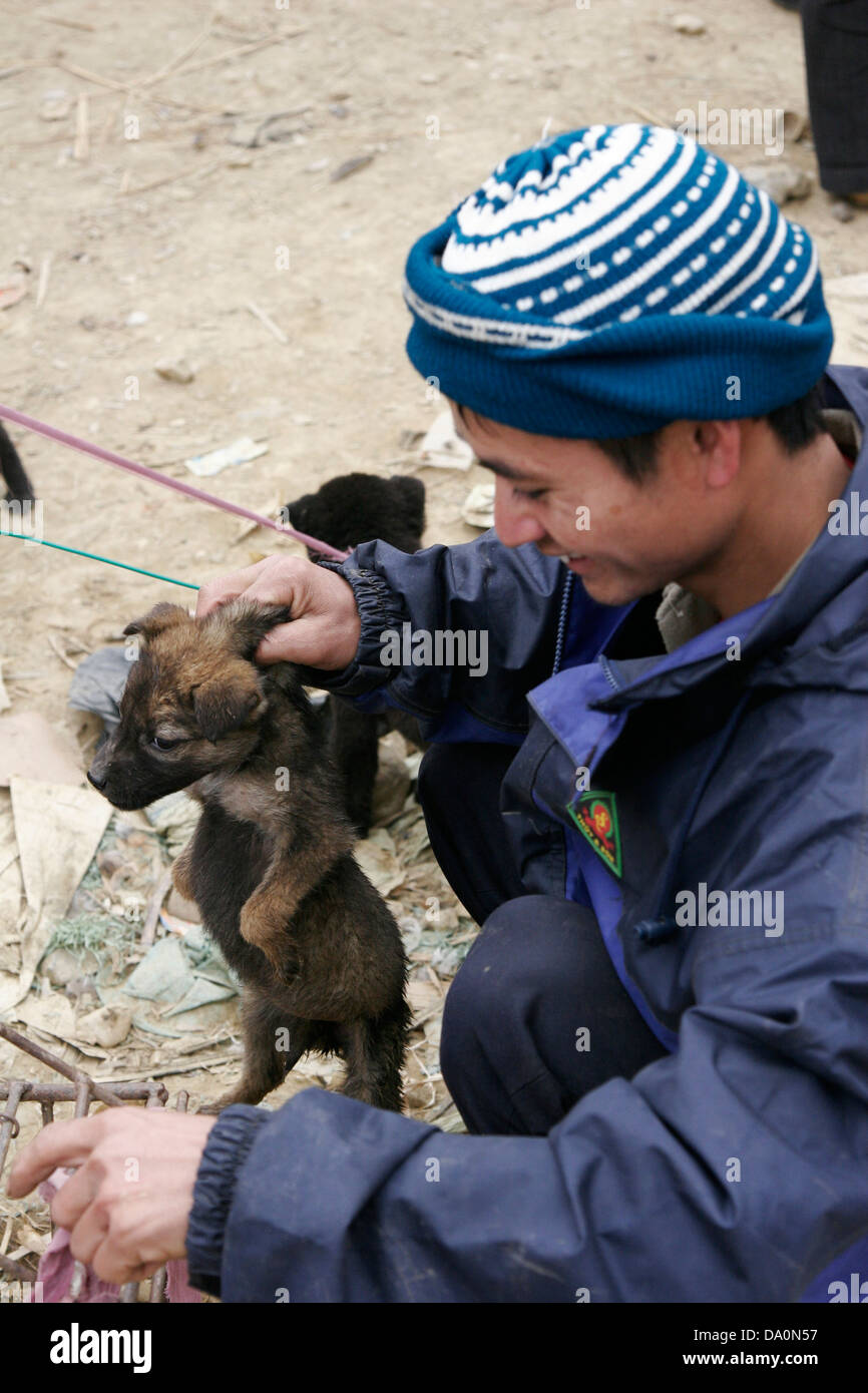 Vietnam bac ha dog in hi-res stock photography and images - Alamy