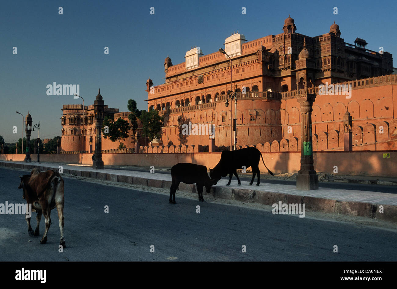 Junagarh Fort, Bikaner, Rajasthan, India Stock Photo - Alamy
