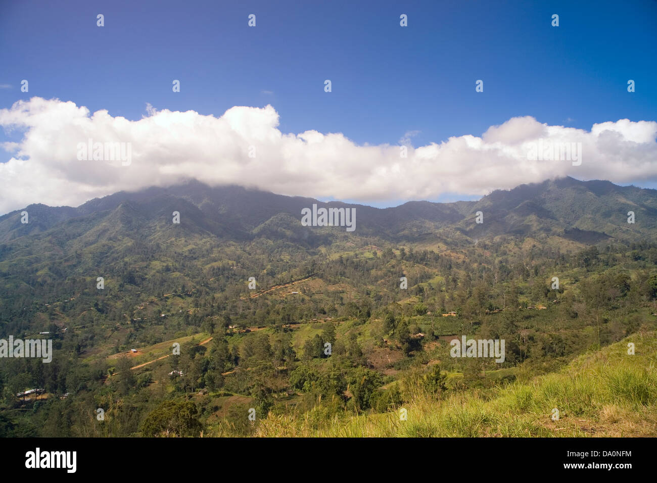 Guinea view hi-res stock photography and images - Alamy