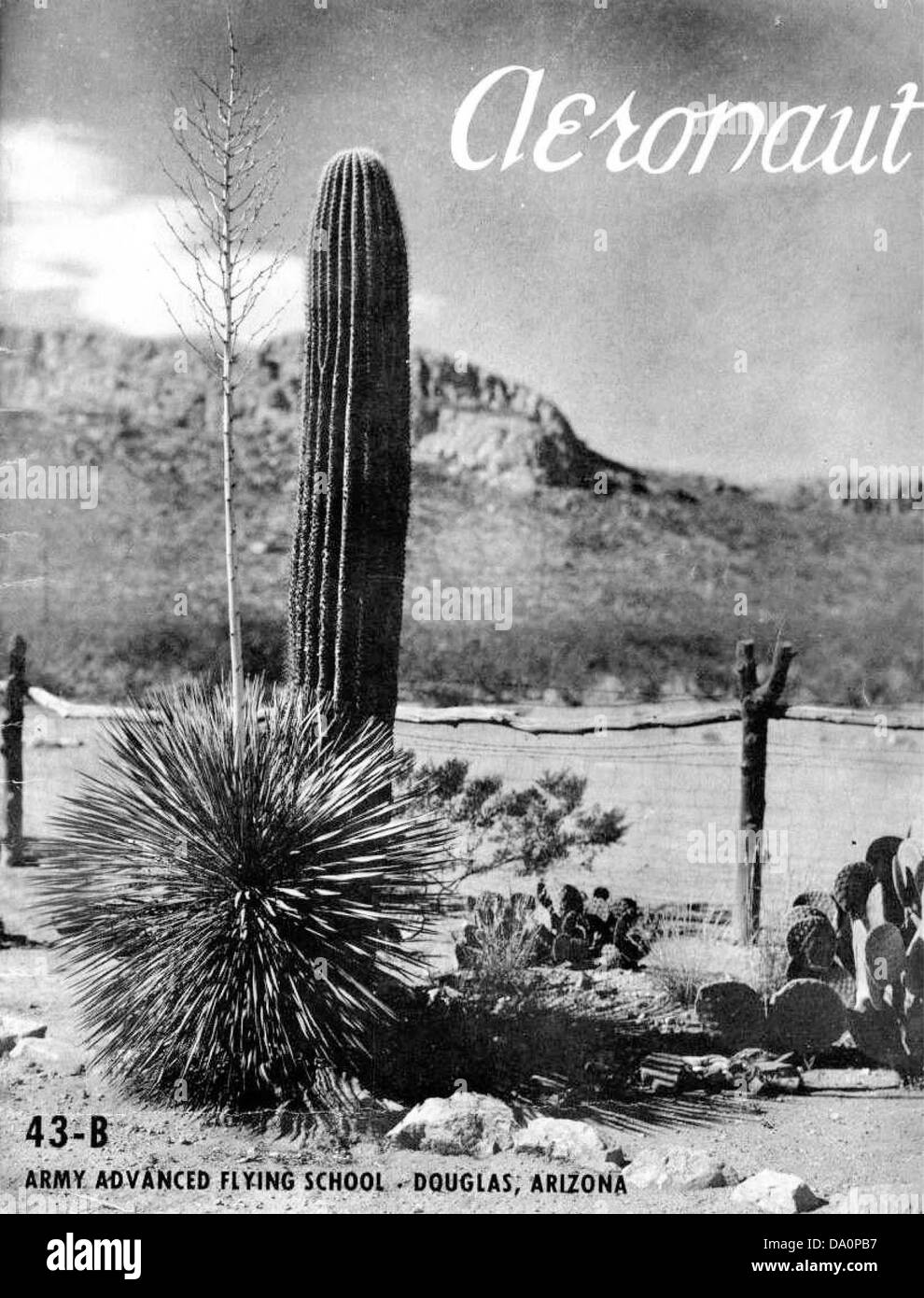 Daaf hi-res stock photography and images - Alamy