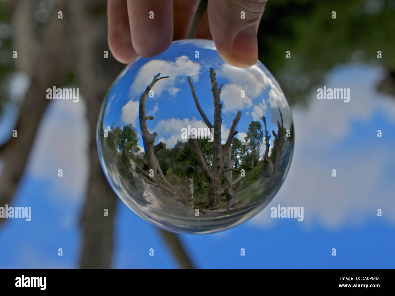 glass orb trees and sky Stock Photo - Alamy