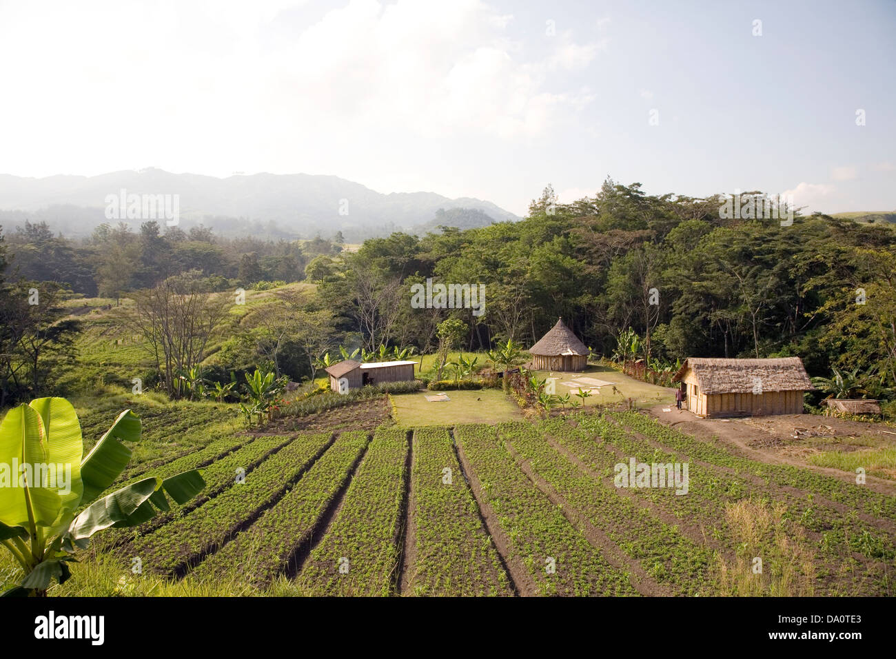Eastern Highlands Province Stock Photos & Eastern Highlands Province ...