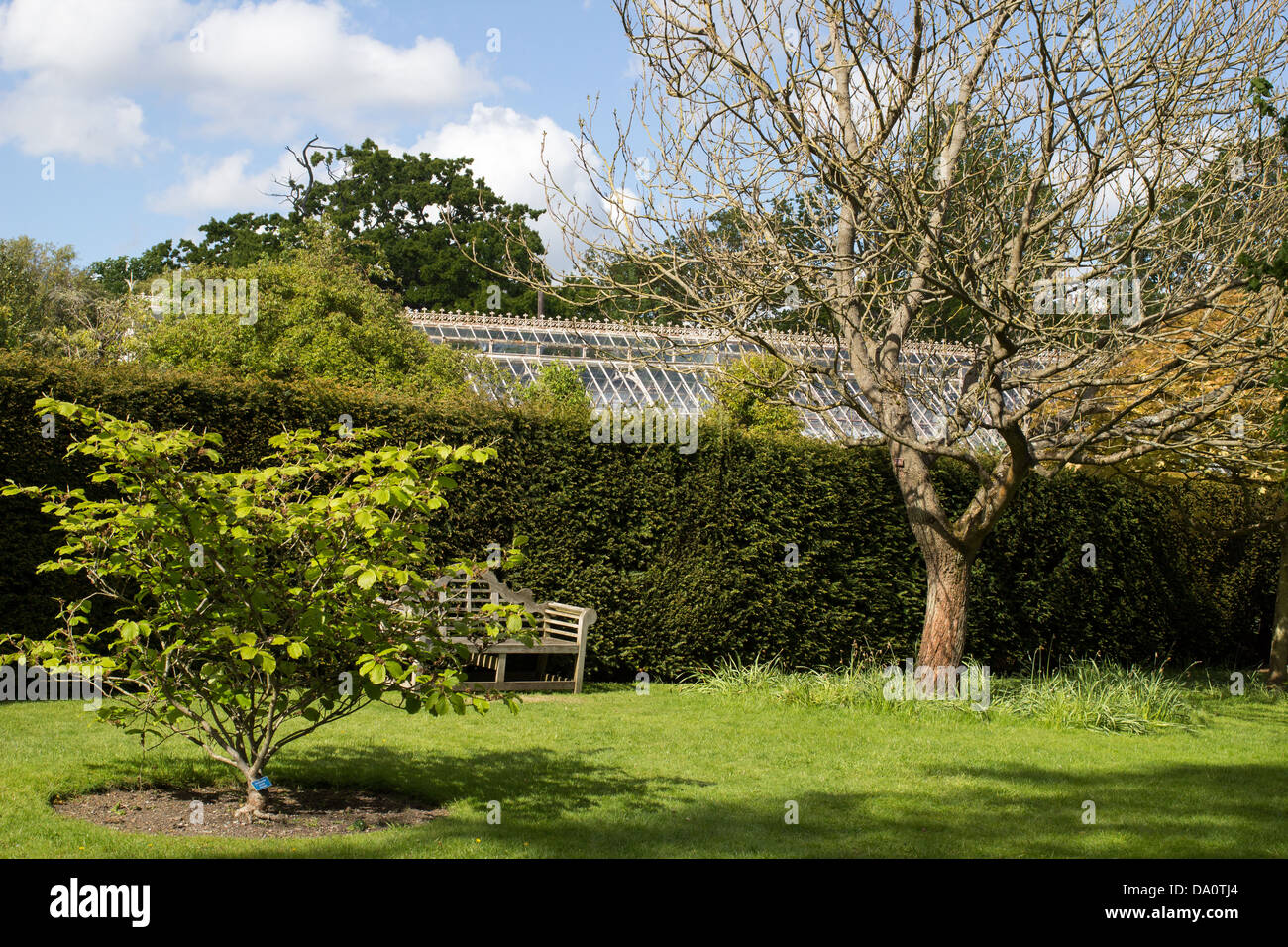 Park within Farmleigh Estate, Dublin, Ireland Stock Photo - Alamy
