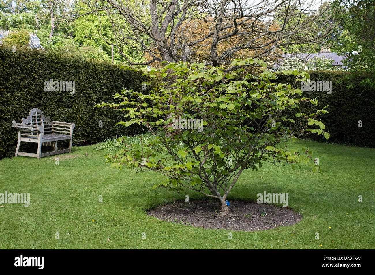 A bench in a park within Farmleigh Estate, Dublin, Ireland Stock Photo ...