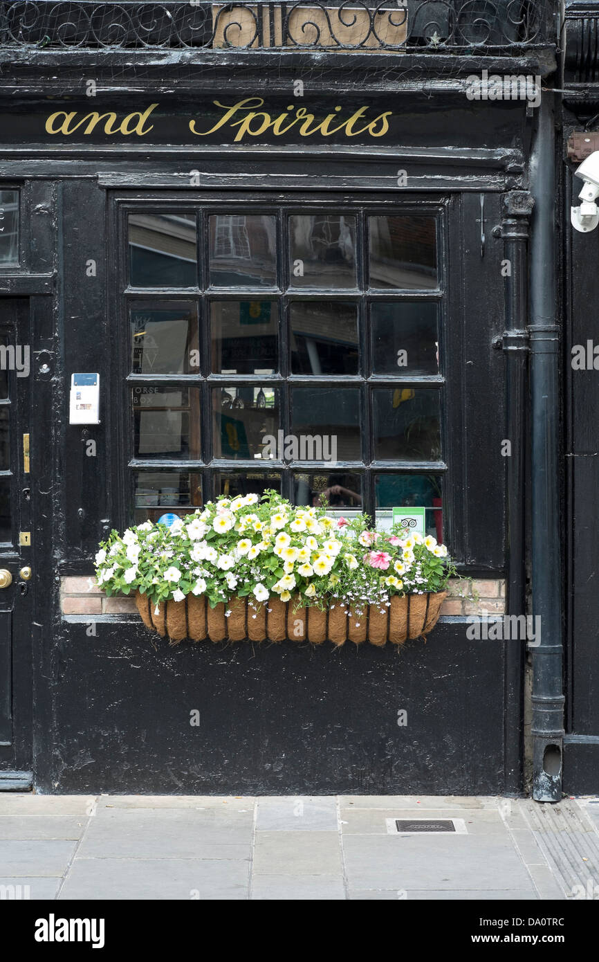 Flowers growing in a window box basket outside a UK pub Stock Photo - Alamy