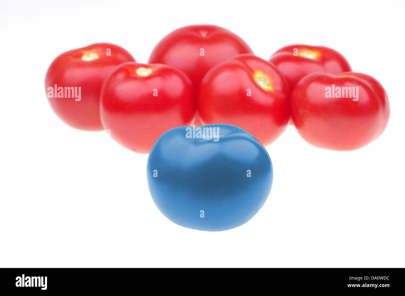 Genetically modified tomato on a white background Stock Photo - Alamy