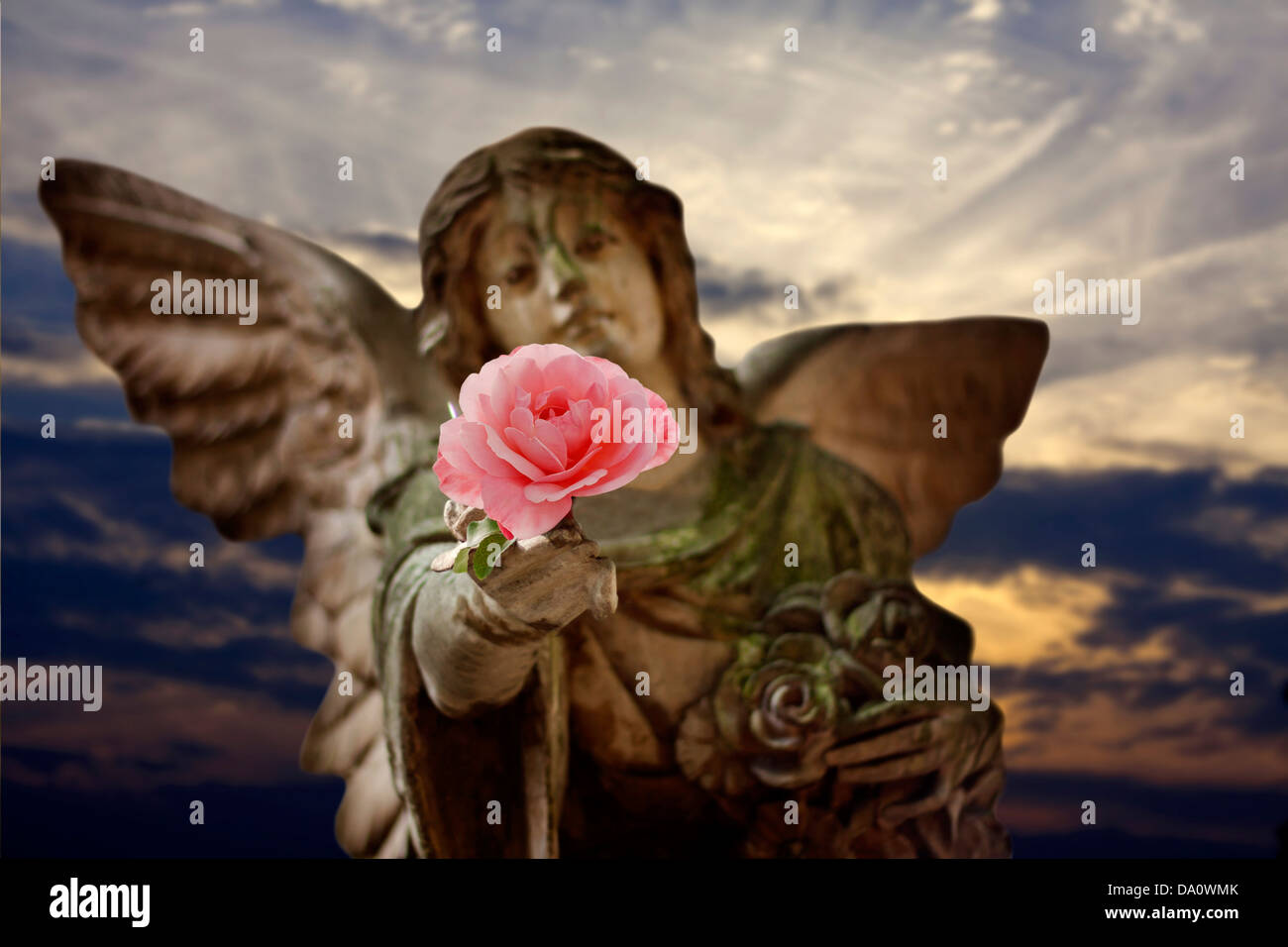 Rose angel flower wings hi-res stock photography and images - Alamy