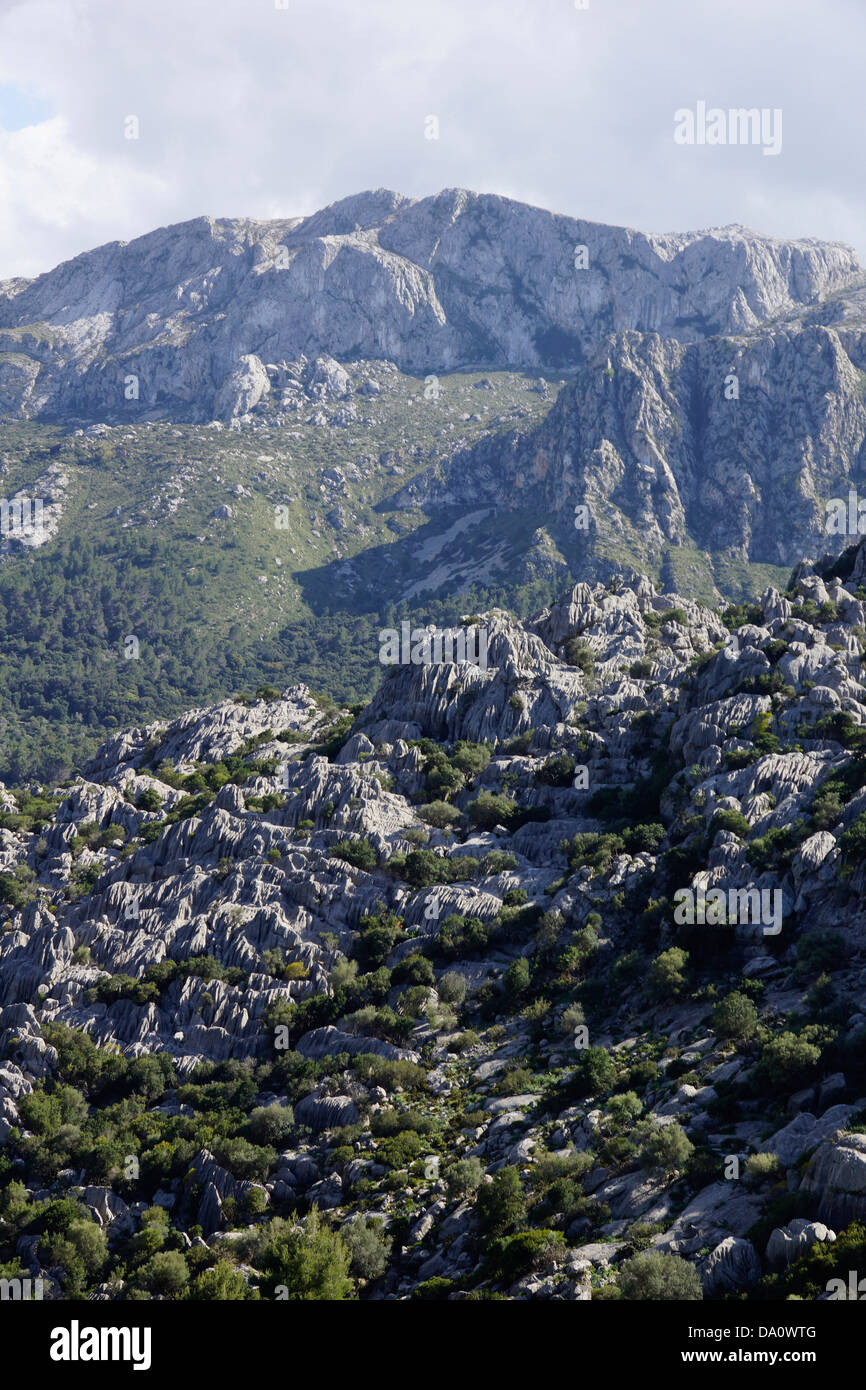 serra de tramuntana, landscape near valldemossa, mallorca, spain Stock ...