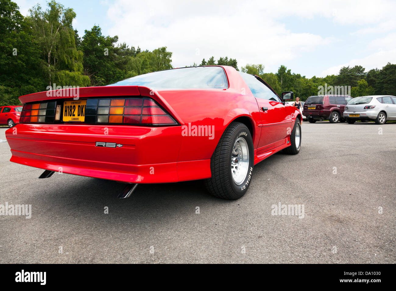 Stabil 360 Camaro Rear