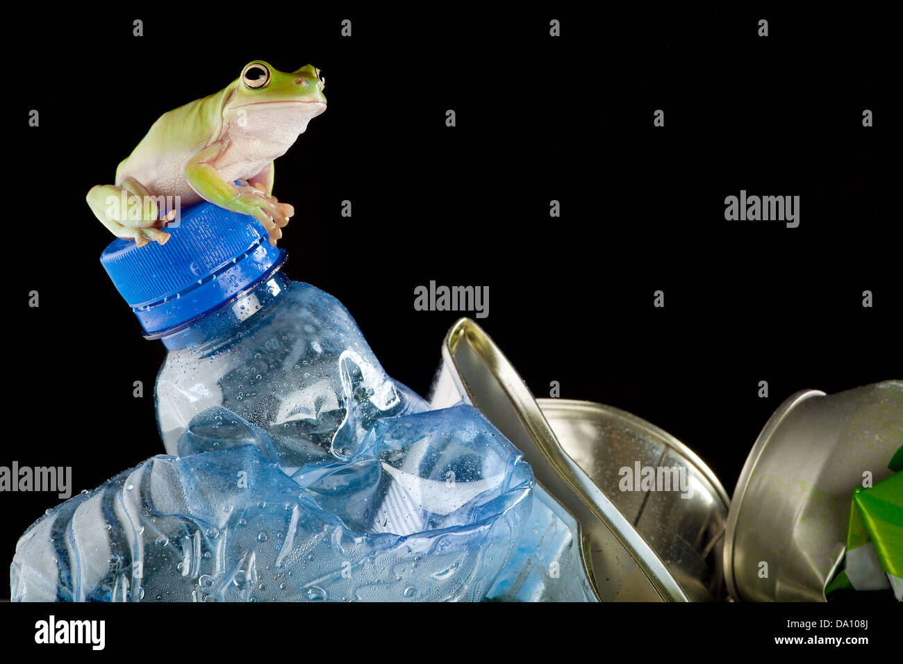 Frog garbage can hi-res stock photography and images - Alamy