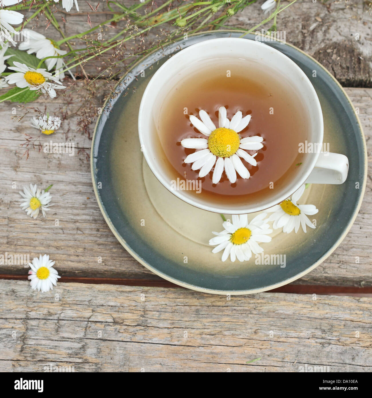 Chamomile for tea hi-res stock photography and images - Alamy