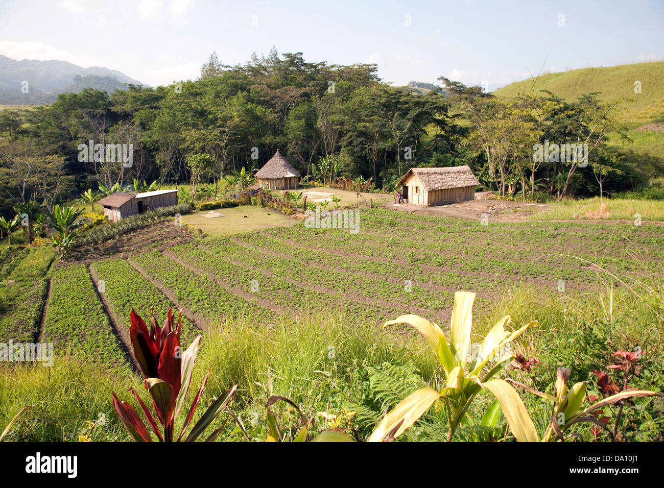 Goroka district hi-res stock photography and images - Alamy