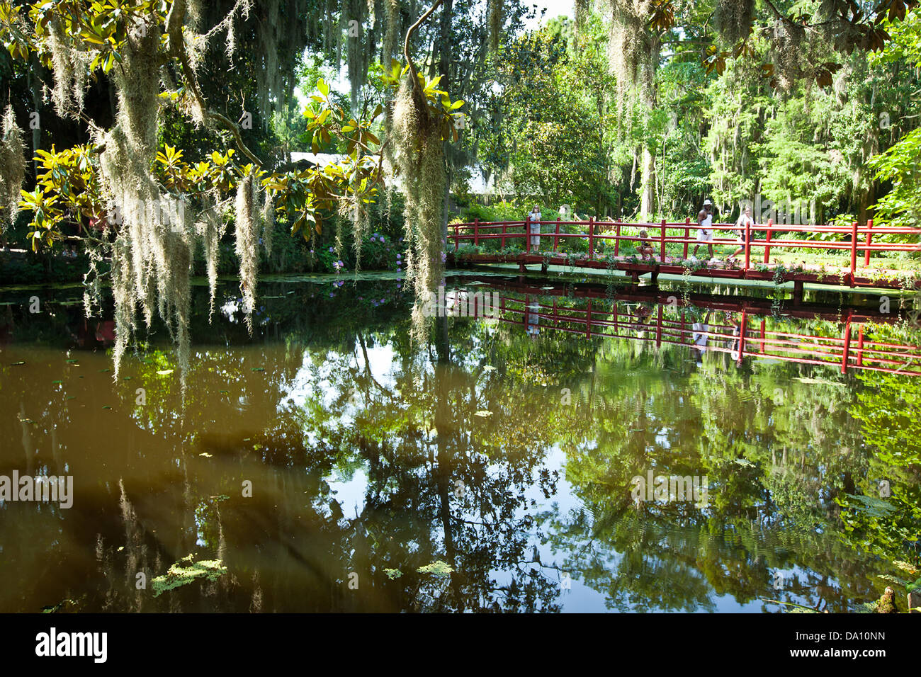 Footbridge across the swamp in the Magnolia Plantation gardens ...
