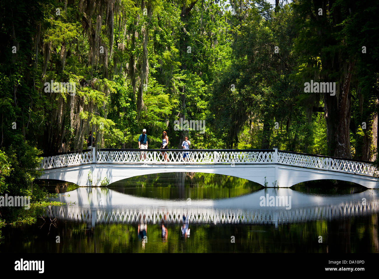 Magnolia plantation and gardens bridge hi-res stock photography and ...