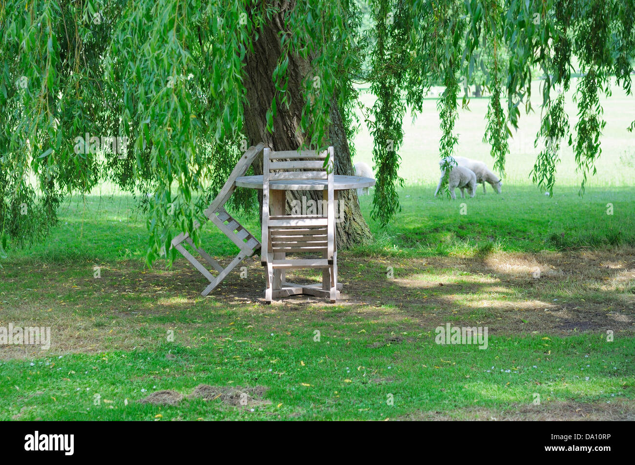 Table chair under tree in hi-res stock photography and images - Alamy