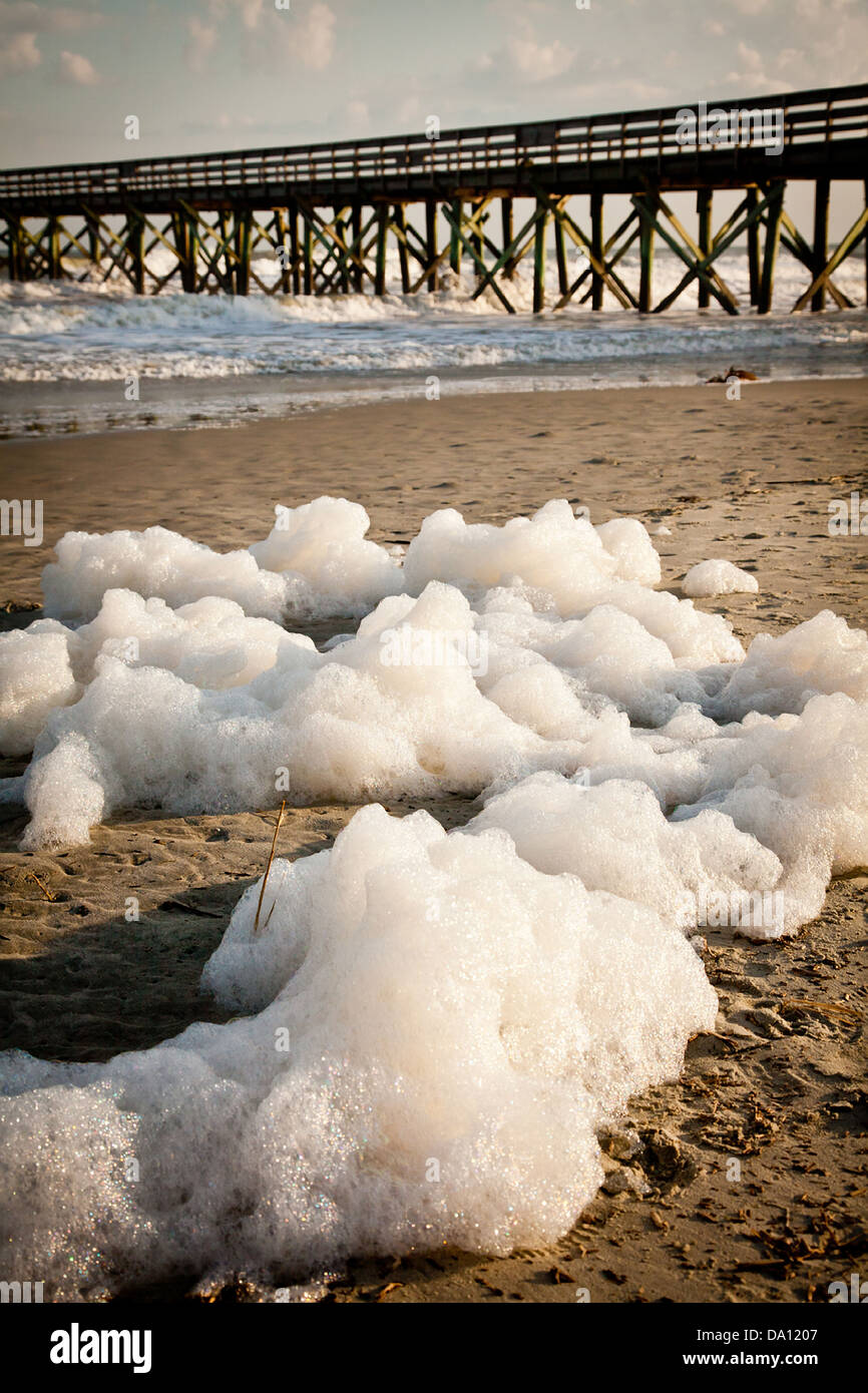 Beach foam on the beach at Isle of Palms, SC Stock Photo - Alamy