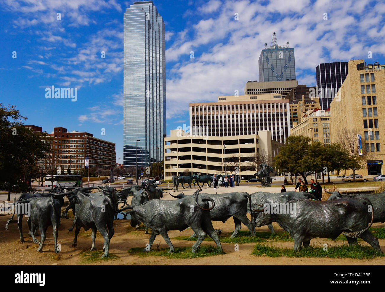 Cattle drive hi-res stock photography and images - Alamy
