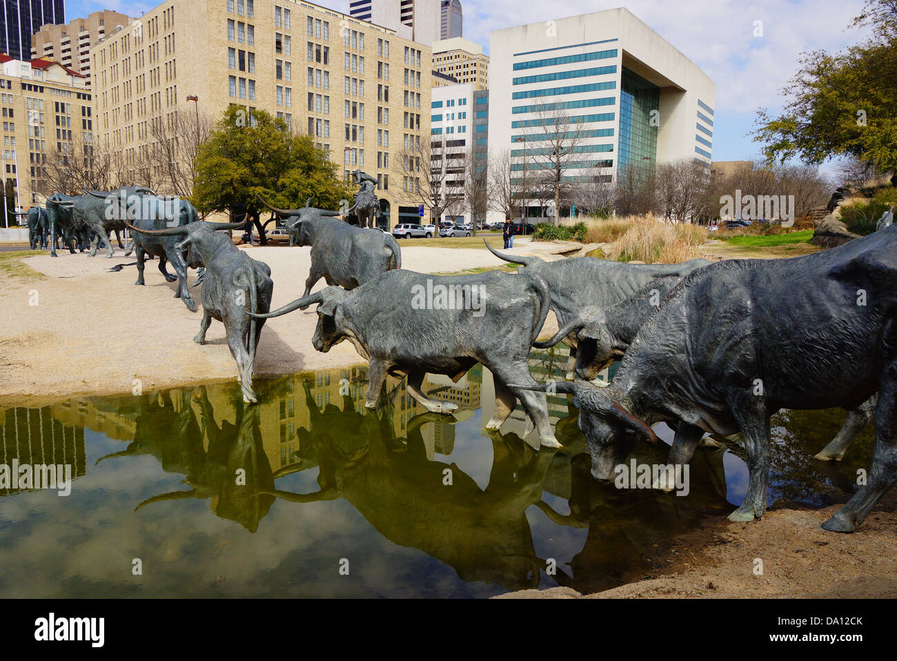 Pioneer Plaza Cattle Drive in Dallas TX Stock Photo - Alamy