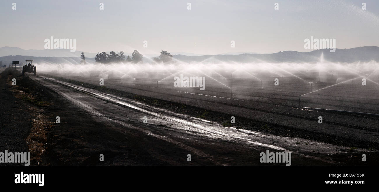 Irrigation of farmland near San Juan Road, San Juan Bautista ...