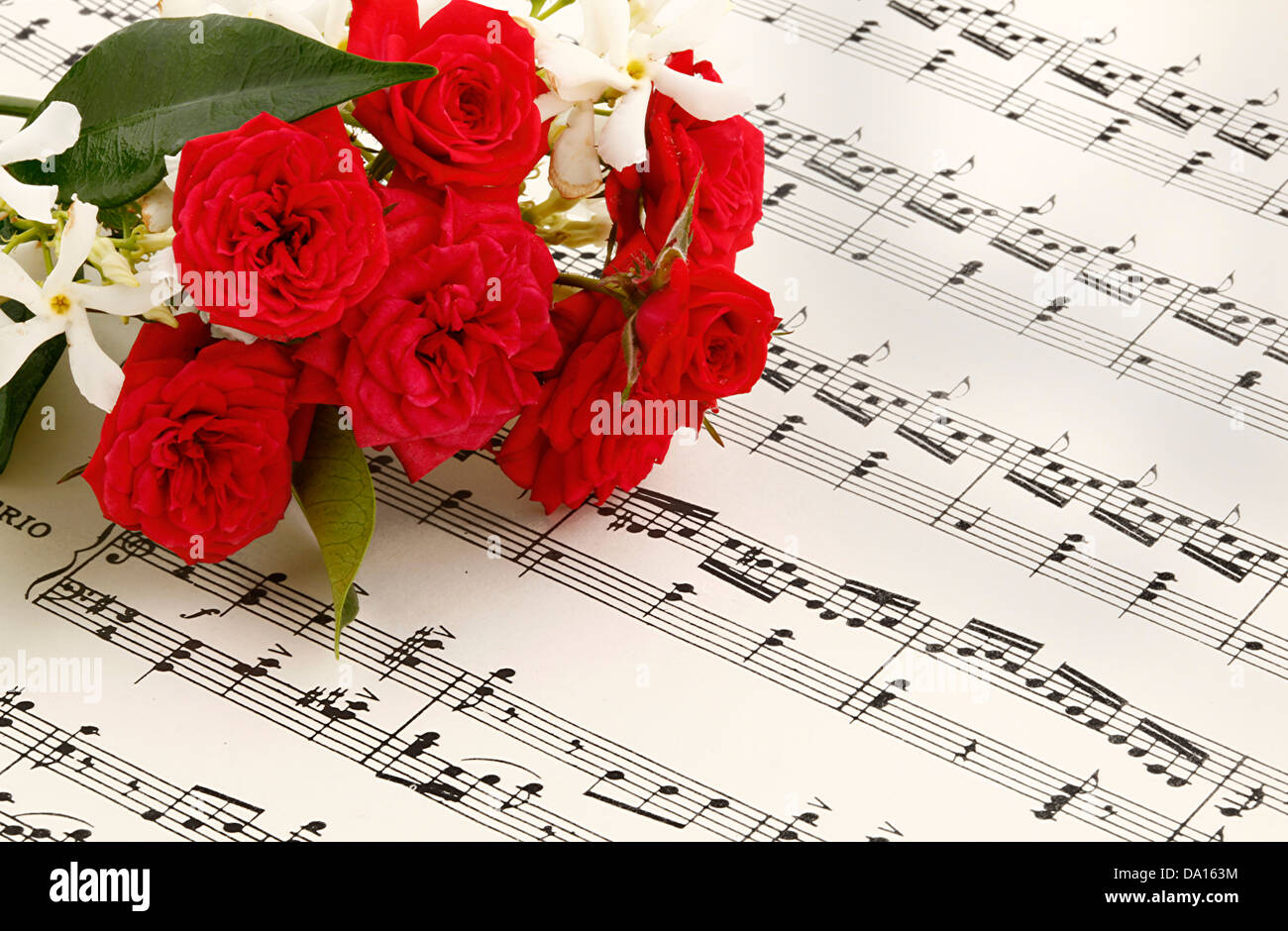 Vintage pentagram and red rose Stock Photo - Alamy
