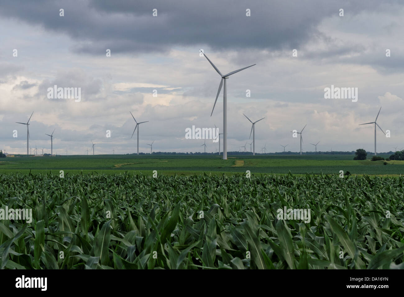 A rural wind farm Stock Photo - Alamy