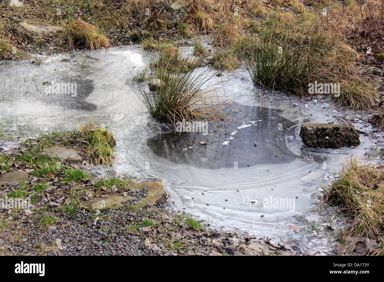 Small frozen pond Stock Photo - Alamy