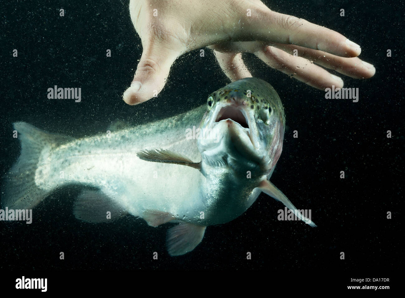 Bass fishing spots hi-res stock photography and images - Alamy