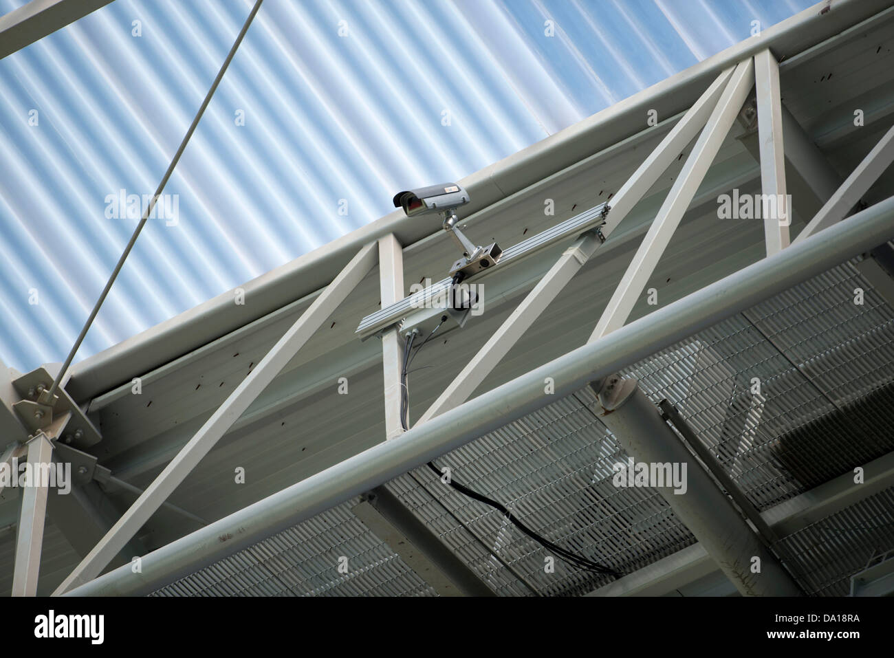 Football hawk hi-res stock photography and images - Alamy