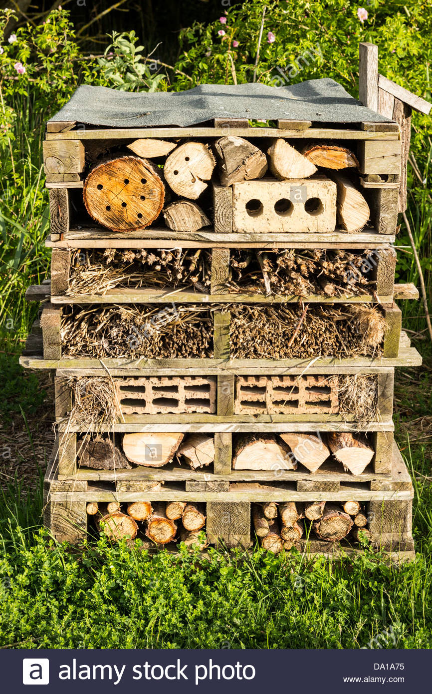 Insect Hotel Stock Photos & Insect Hotel Stock Images - Alamy