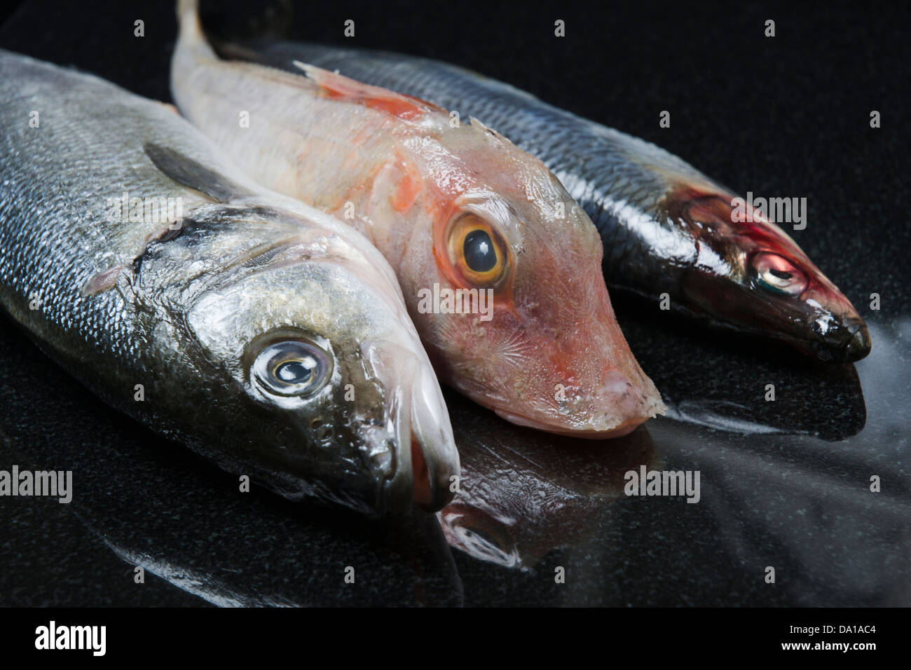 Fresh sea fish. Gurnard, Herring and Sea Bass on granite slab Stock ...