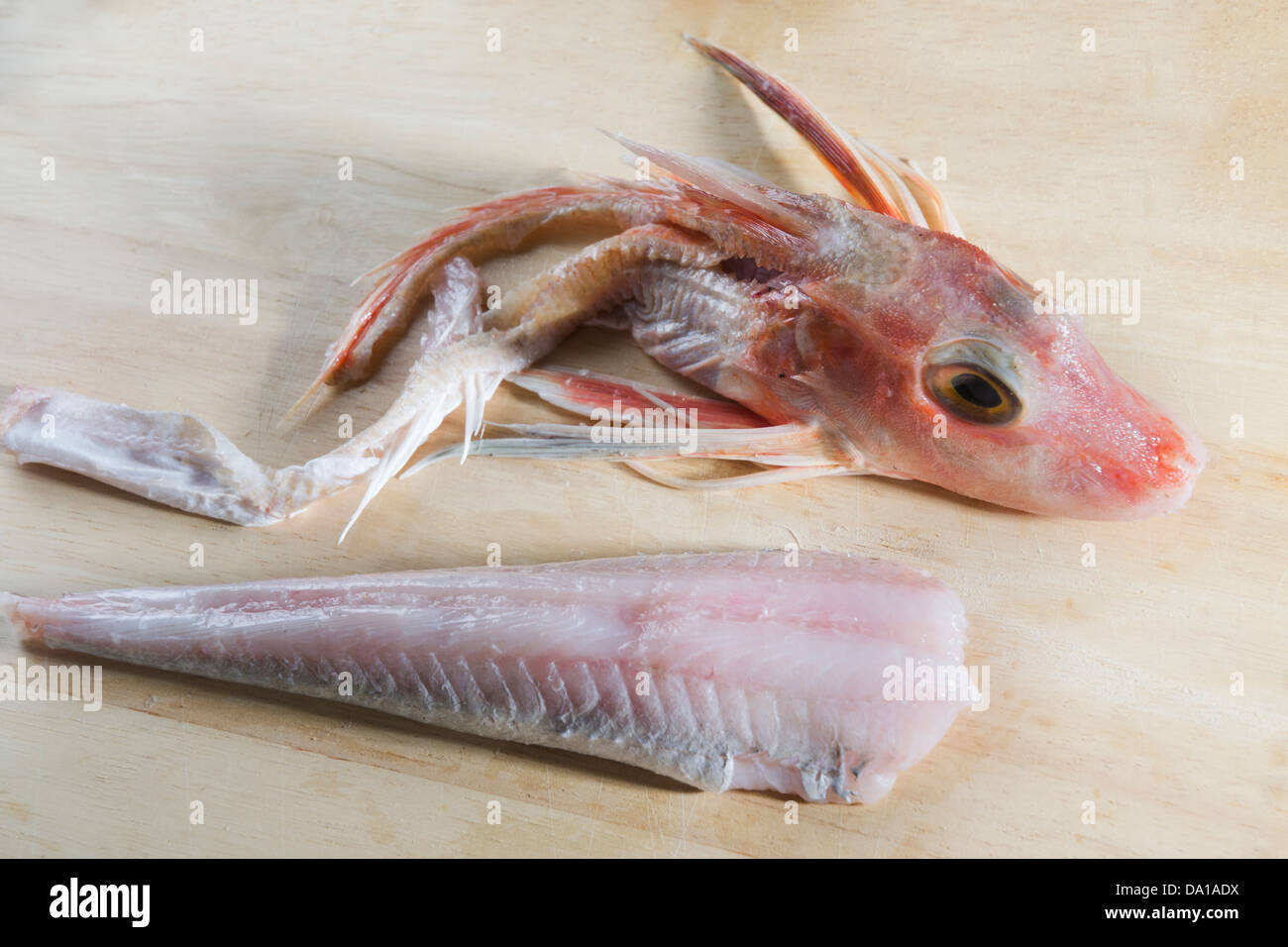 Filleted Gurnard Fish Stock Photo - Alamy