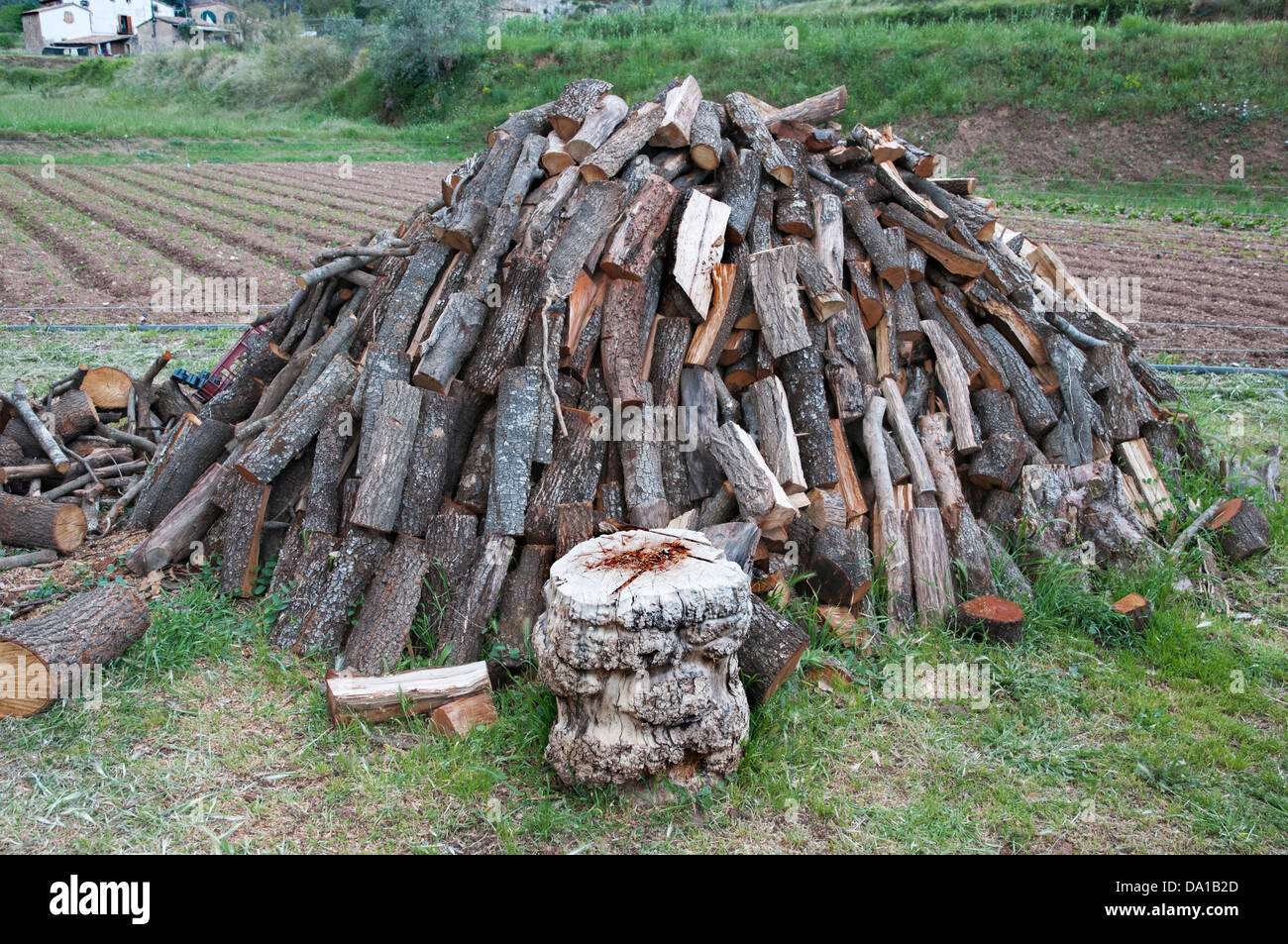 pile of logs ready to cut into small pieces Stock Photo - Alamy