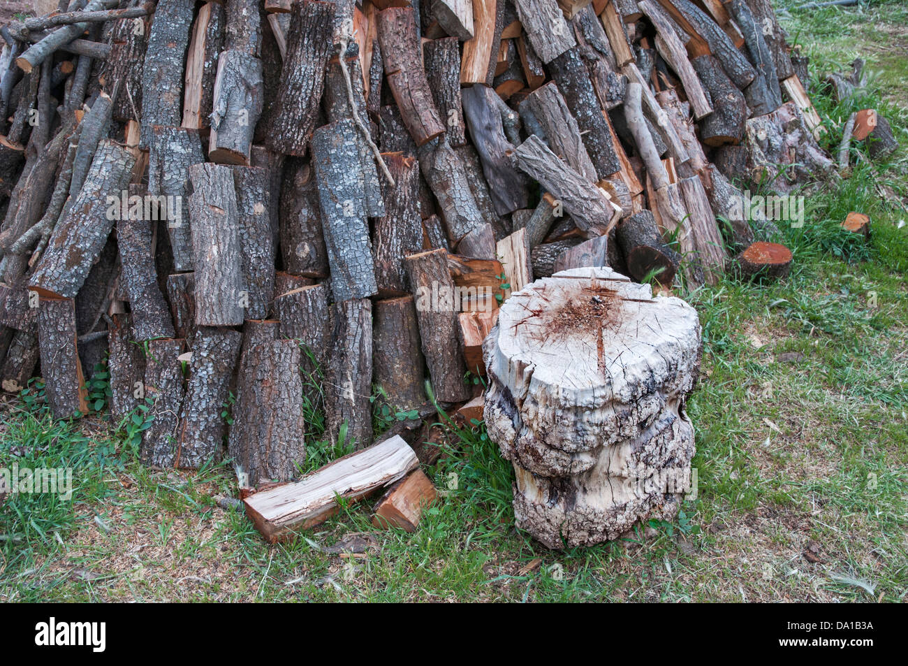 pile of logs ready to cut into small pieces Stock Photo - Alamy