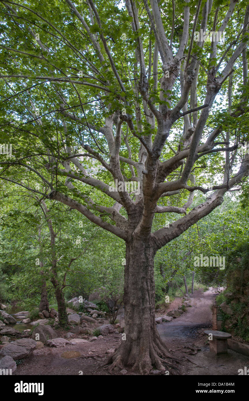 Enviro Stock Photos & Enviro Stock Images - Alamy