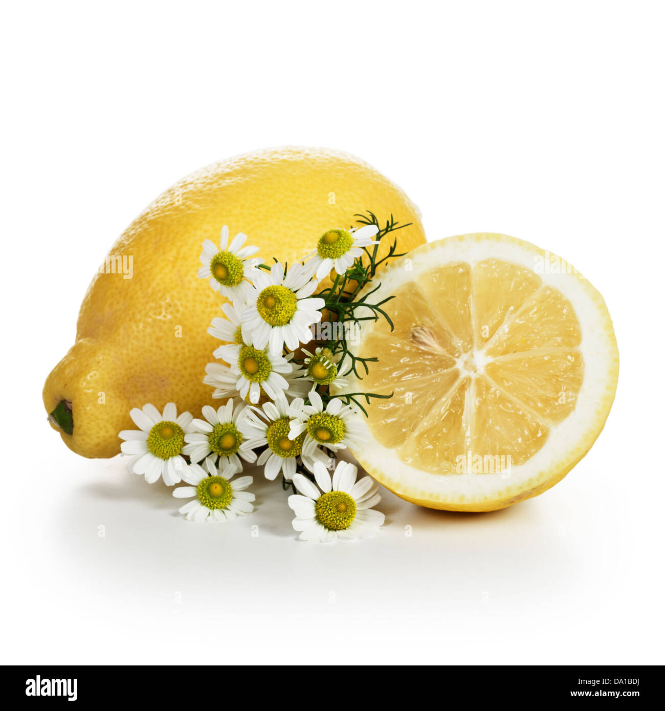 Ripe lemons with beautiful fresh chamomile flowers on white background ...