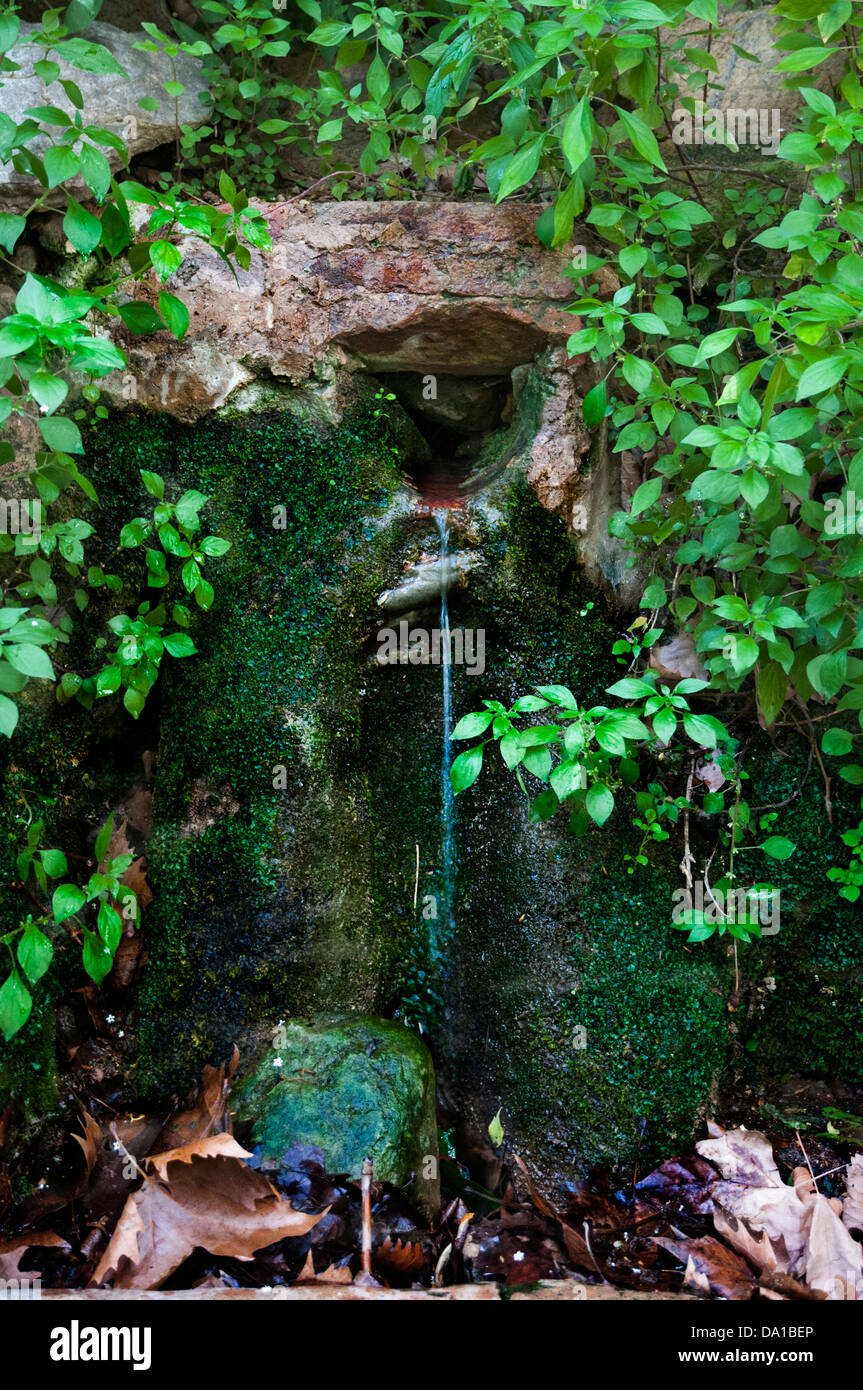 Groundwater spring mountain hi-res stock photography and images - Alamy