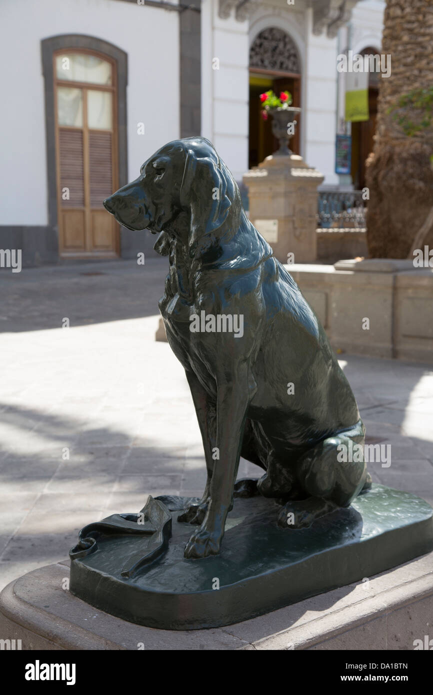 The canary dog hi-res stock photography and images - Alamy