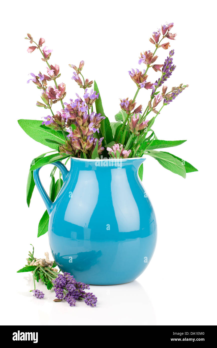 Homeopathic flowers hi-res stock photography and images - Alamy