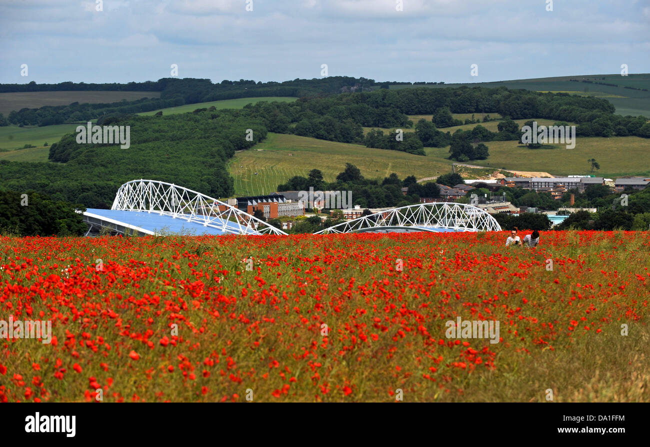 Fields of poppies and wild flowers just north of Brighton near the ...