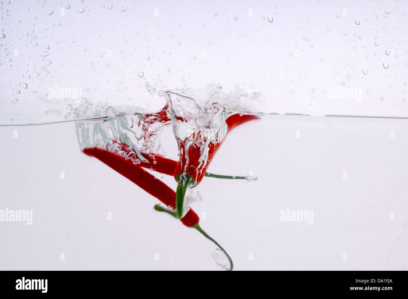 Chili pepper splashed into water Stock Photo - Alamy