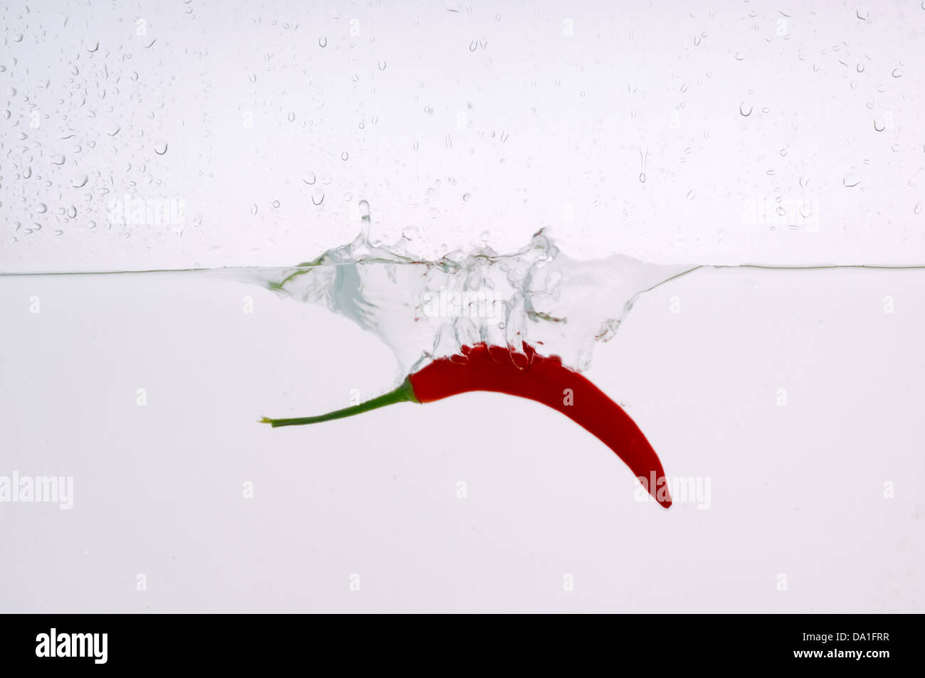 Chilli pepper splashed into water Stock Photo - Alamy