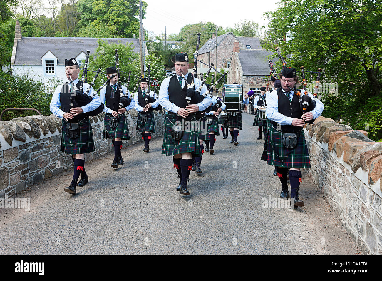 Longformacus hi-res stock photography and images - Alamy