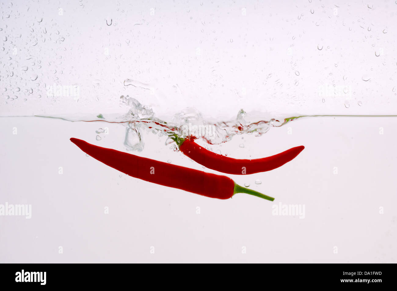 Chilli pepper splashed into water Stock Photo - Alamy