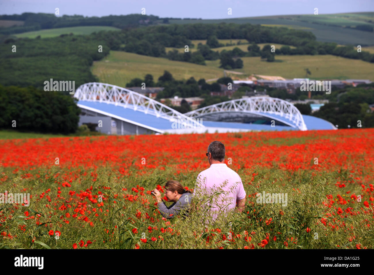 Fields of poppies and wild flowers just north of Brighton near the ...