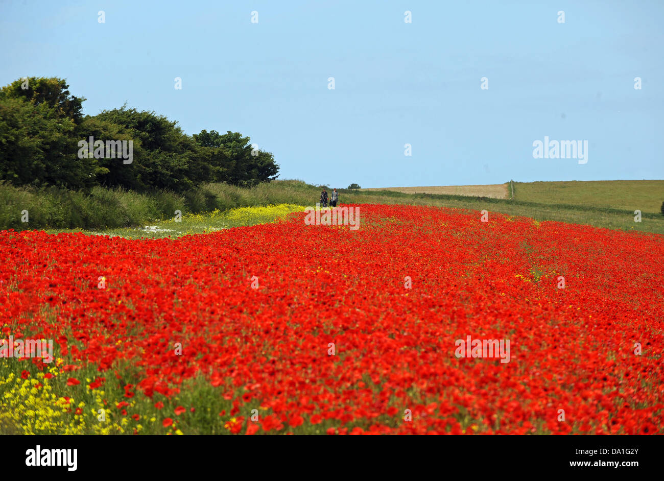 English countyryside hi-res stock photography and images - Alamy