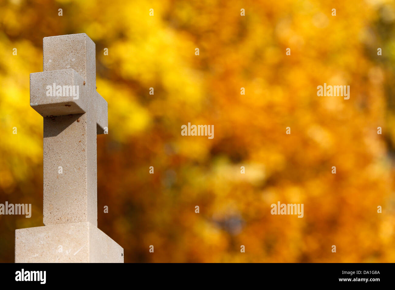 Stone zoom hi-res stock photography and images - Alamy