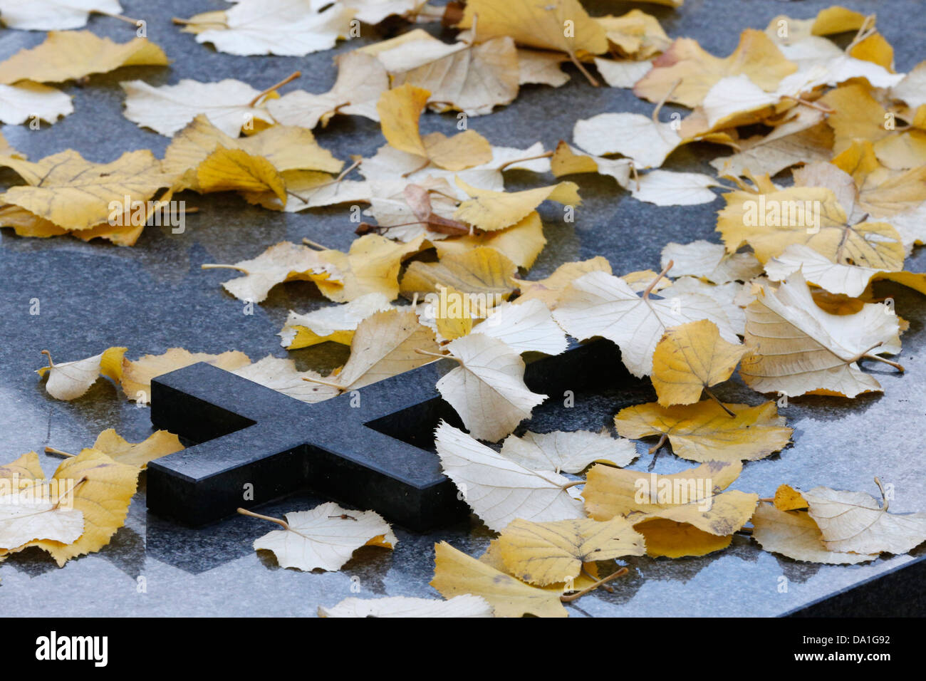 Fall under the cross hi-res stock photography and images - Alamy